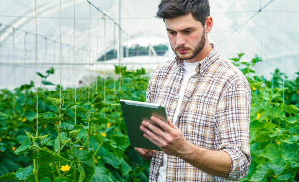 glumix-granulado - Biofertilizantes Biotecnología